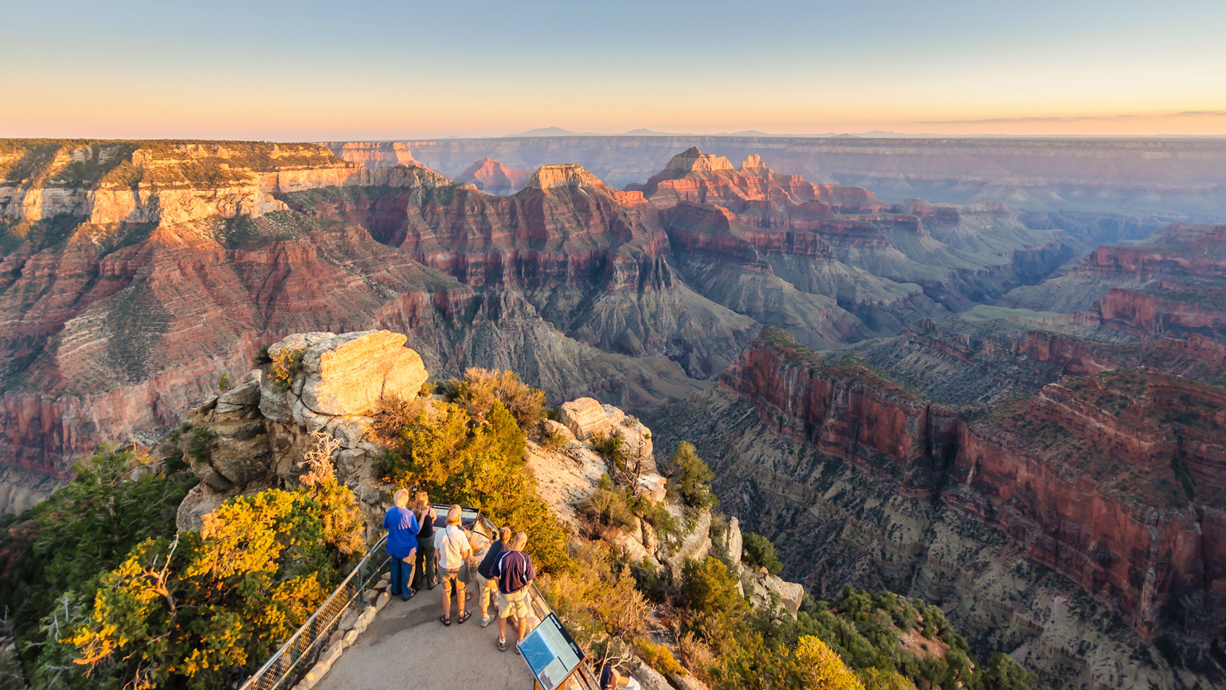 Cover image for Collette